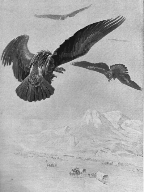 GEDROSIA-CASTAIGNE-CROP1 – TIMESCAPES MAPS